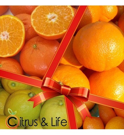 Pack oranges, mandarins, lemons and exotic citrus